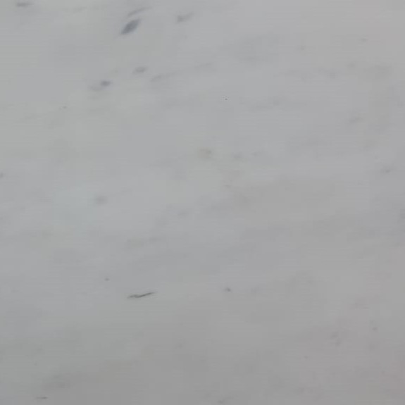 Drama White Marble - Pristine and Elegant | Clarity Marble & Tiles